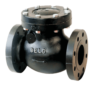 Válvula check de bronce